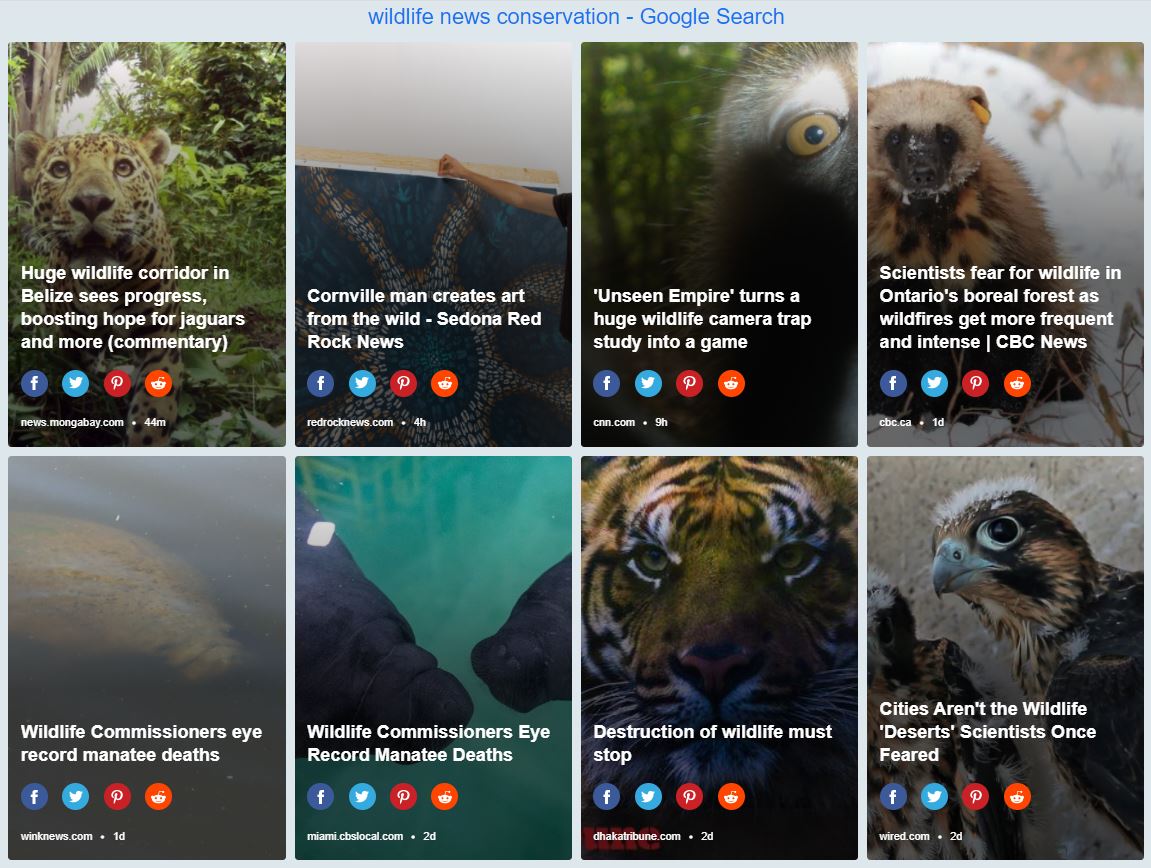 Top 5 [Free] News Widgets for Your Website
